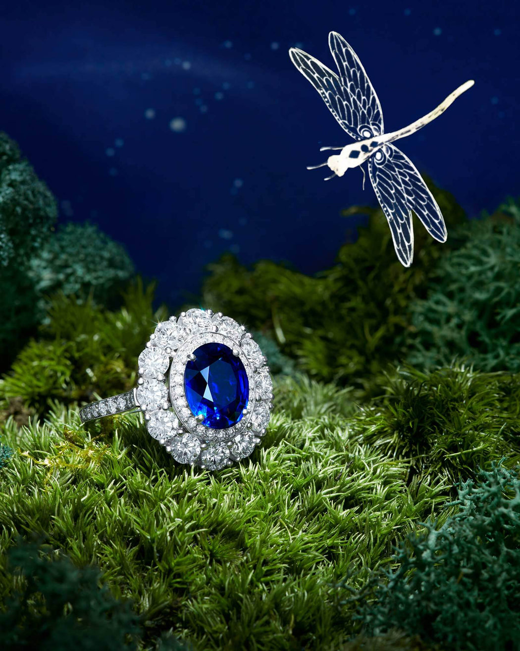 An Enchanted Night with Garrard